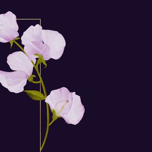 Sweet Pea Frame Set - Floral Frame PNG - Floral Wreath - Etsy