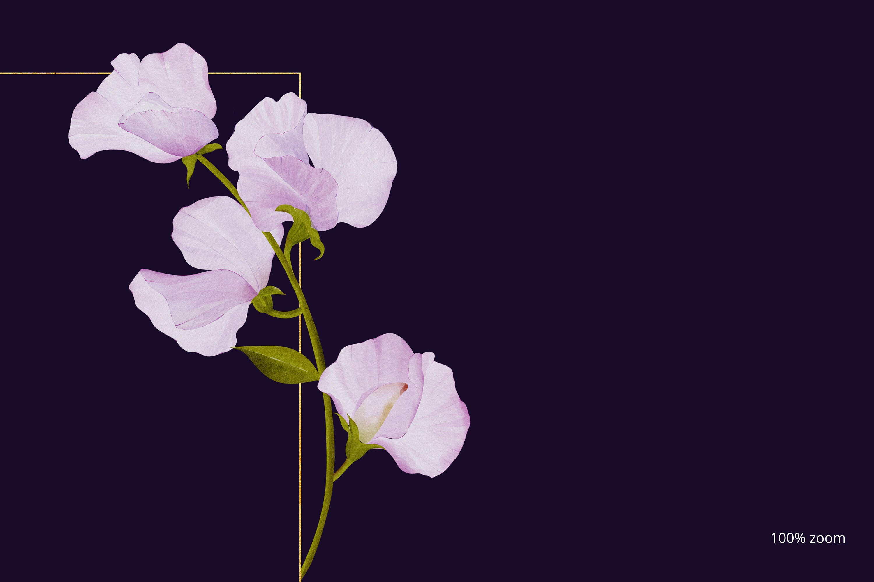 Sweet Pea Frame Set - Floral Frame PNG - Floral Wreath - Etsy