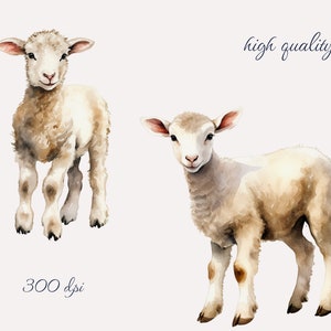 Watercolor Lamb Clipart, Sheep Spring Clipart Png, Clipart Bundle, Baby ...