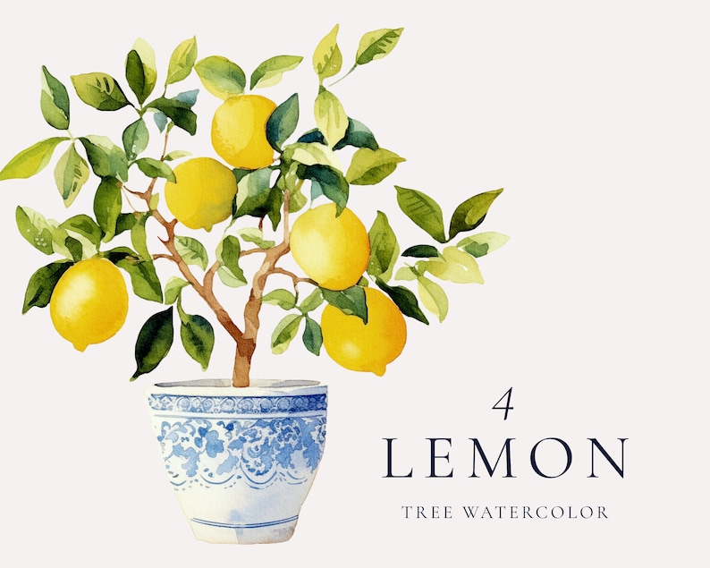 Watercolor Lemon Tree Png Clipart, Mediterranean Citrus Plant ...