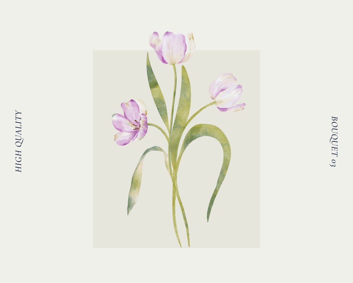 Watercolor Tulip Spring Clipart, Elegant Purple Flowers Png, Mothers ...