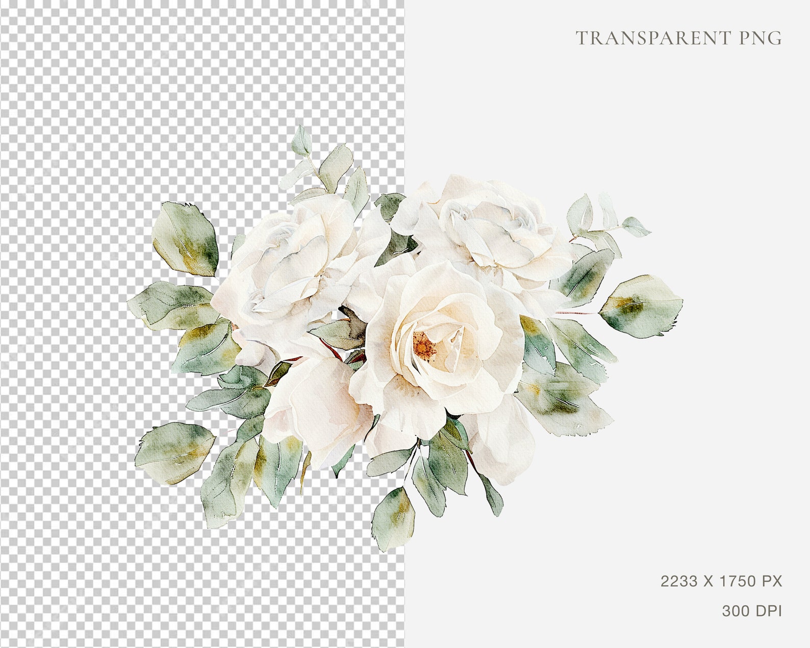 White Rose Watercolor Floral Clipart, White Rose Pre-made Floral ...