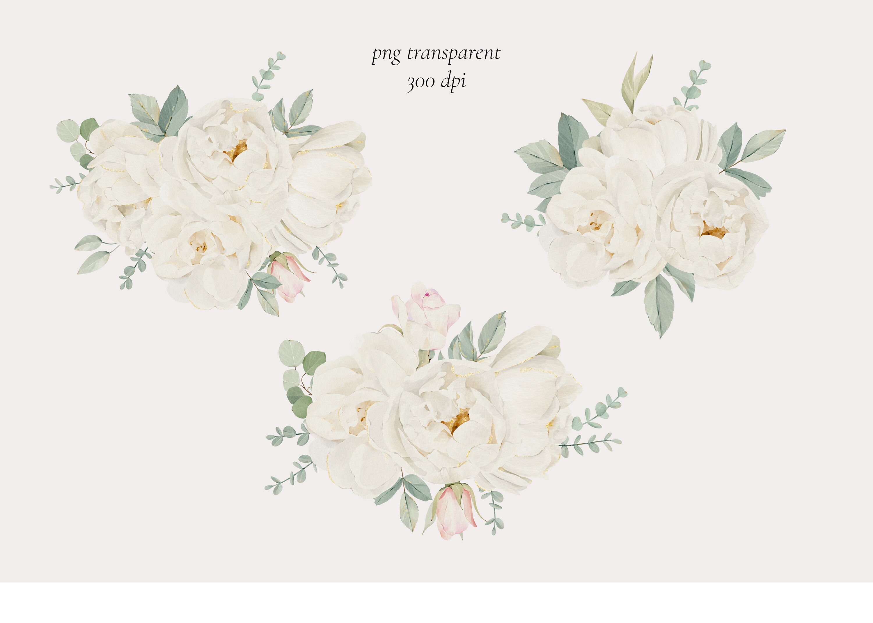 White Rose Collection Watercolor Floral Clipart Gold Floral Set Wedding ...