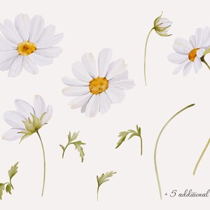 Daisy Clipart Png, Spring Clipart, Daisy Flower Clipart, Wildflower ...