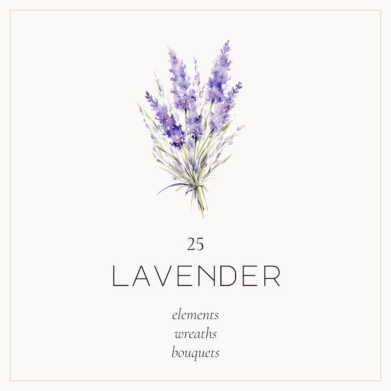 Lavender Clip Art Bundles - Etsy
