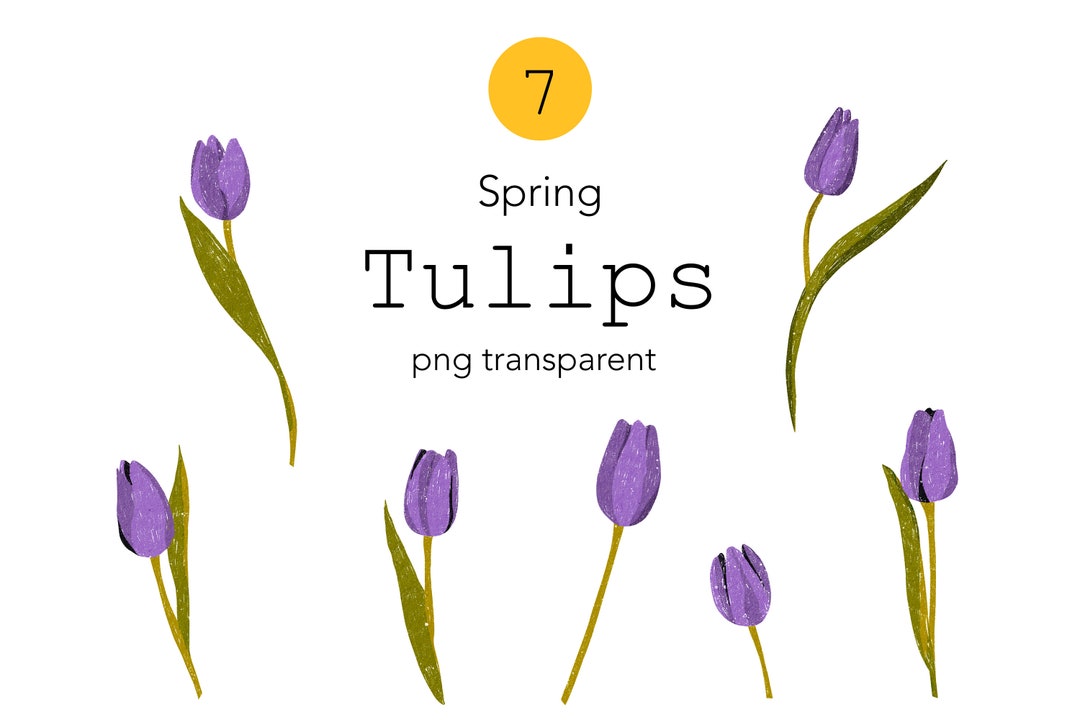 Spring Tulips PNG Set - Floral Clipart - Purple Tulips Clipart - Etsy