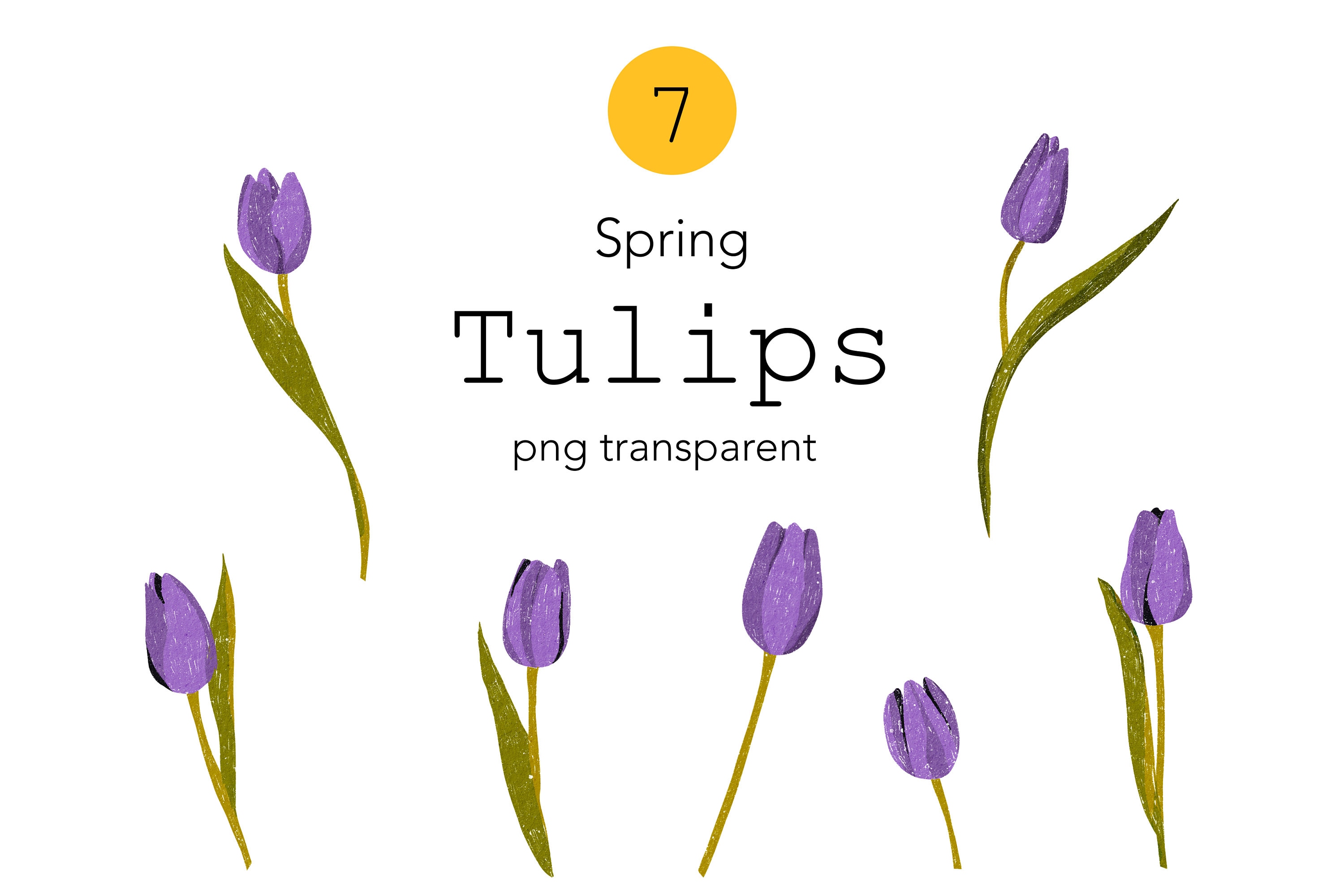 Spring Tulips PNG Set - Floral Clipart - Purple Tulips Clipart - Etsy