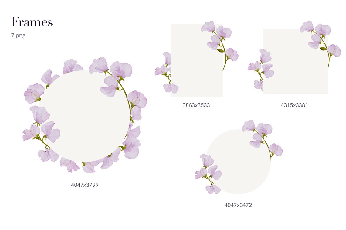 Sweet Pea Frame Set Floral Frame PNG Floral Wreath - Etsy