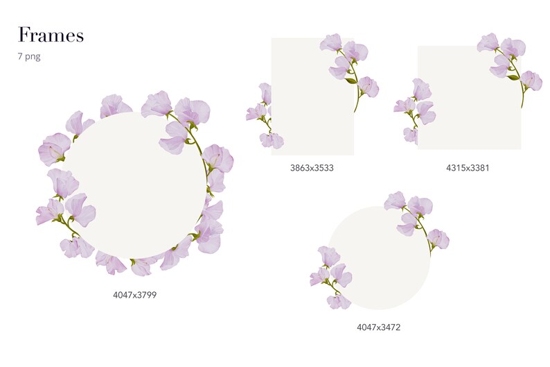 Sweet Pea Frame Set - Floral Frame PNG - Floral Wreath - Etsy