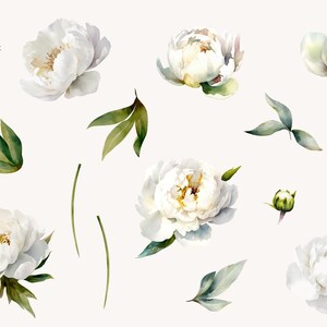 White Peony Clipart, Watercolor Floral Clipart, Peony Patterns, Peony ...