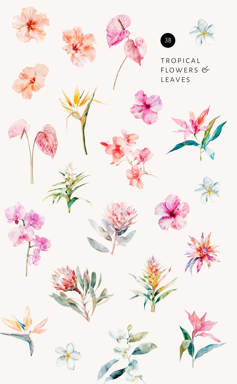 Tropical Watercolor Floral Clipart, Tropical Leaves, Tropical Bouquet ...