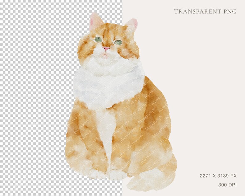 Watercolor Ginger Cat Clipart, Hand-painted Watercolor Illustration ...