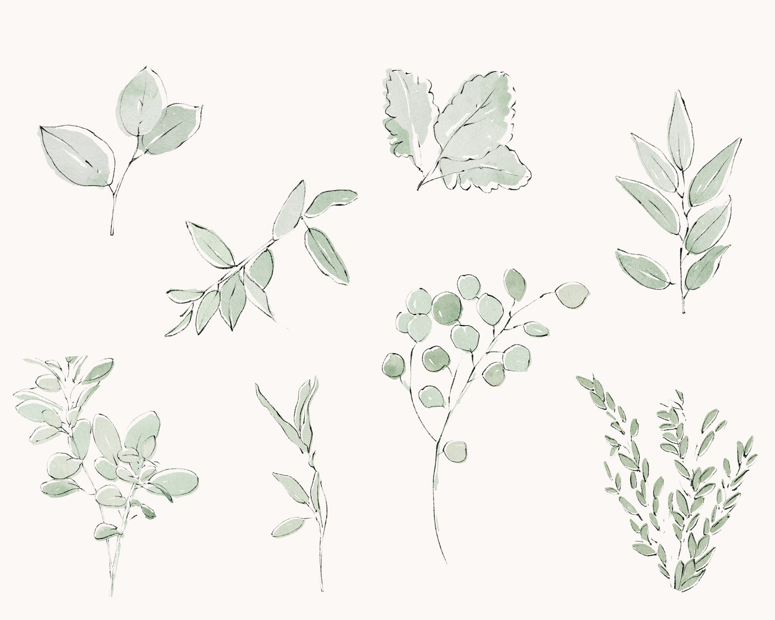 Minimalistic Watercolor Greenery Clipart, Modern Green Leaves Clipart ...