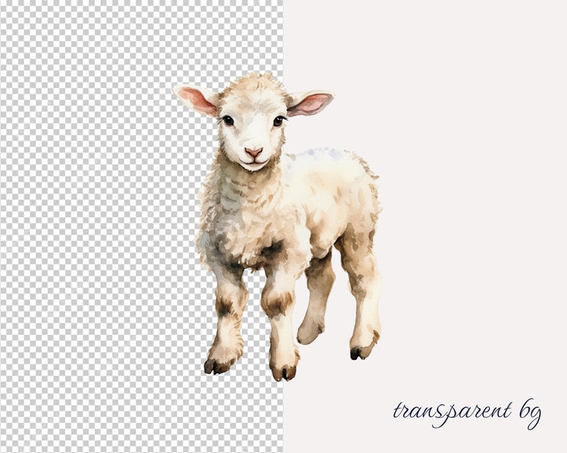 Watercolor Lamb Clipart, Sheep Spring Clipart Png, Clipart Bundle, Baby ...