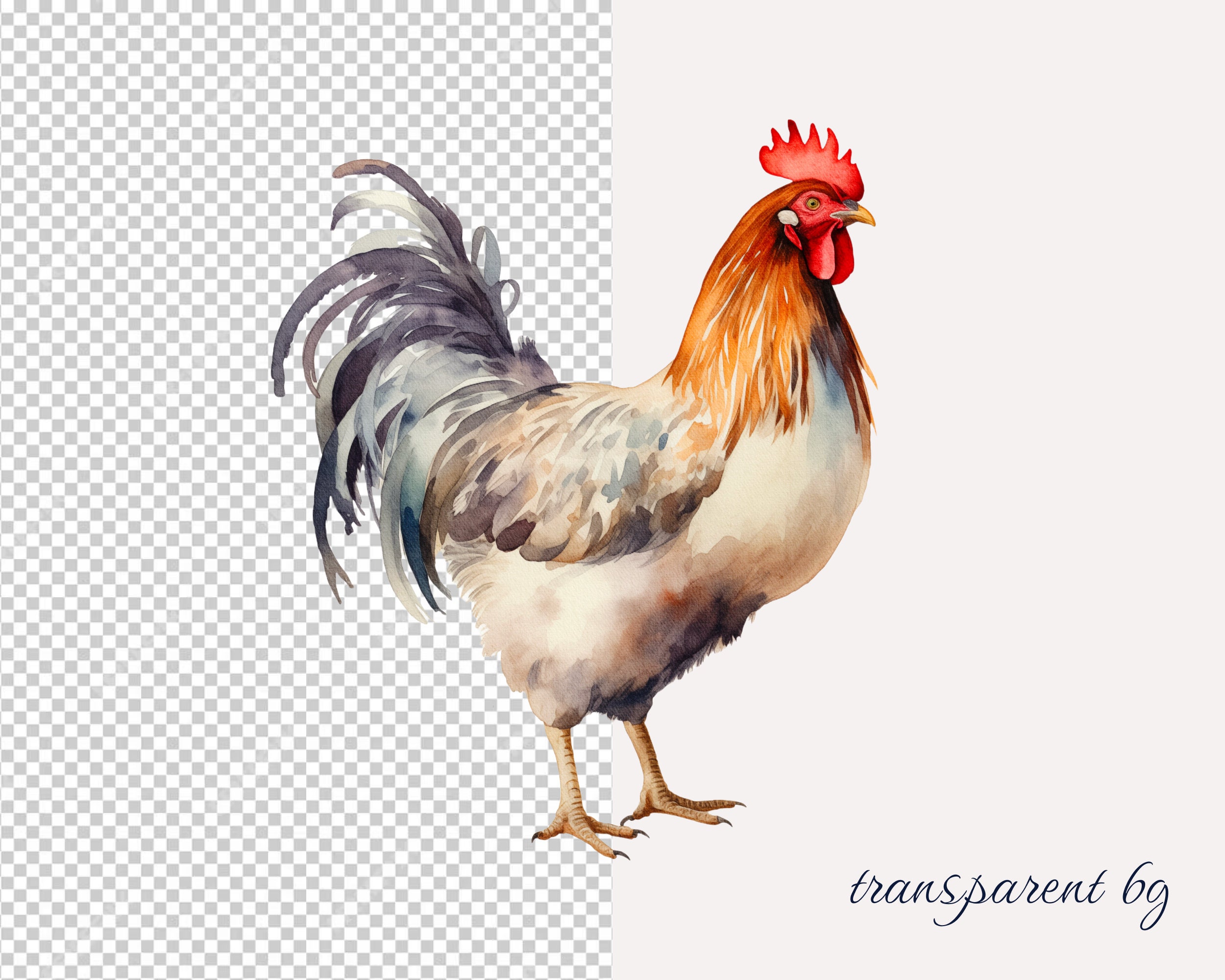 Watercolor Rooster Clipart Png, Chicken Clipart, Chicken Png, Farm ...