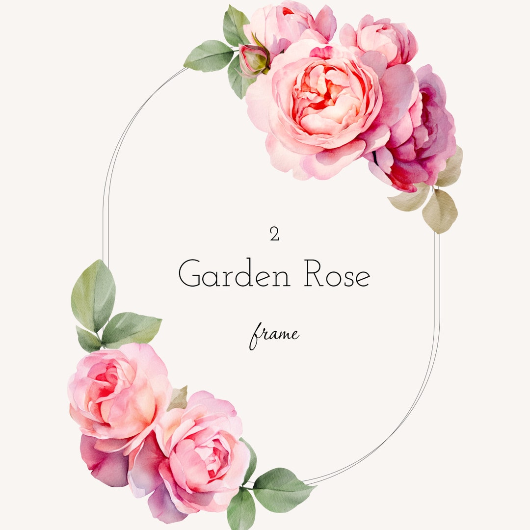 Pink Rose Frame Clipart, Rose Bouquet Frame Watercolor, Floral Border ...