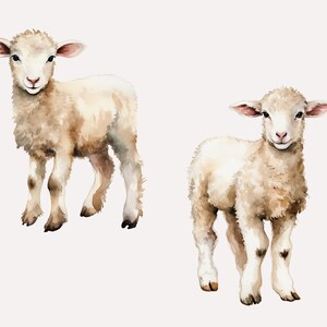 Watercolor Lamb Clipart, Sheep Spring Clipart Png, Clipart Bundle, Baby ...