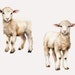Watercolor Lamb Clipart, Sheep Spring Clipart Png, Clipart Bundle, Baby ...