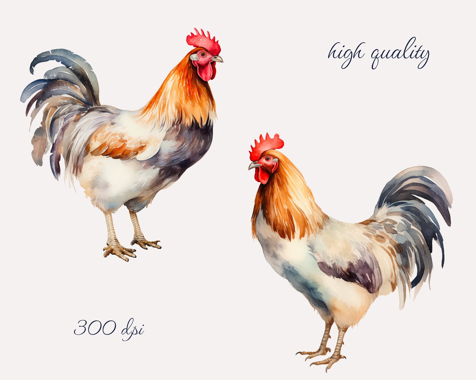 Watercolor Rooster Clipart Png, Chicken Clipart, Chicken Png, Farm ...
