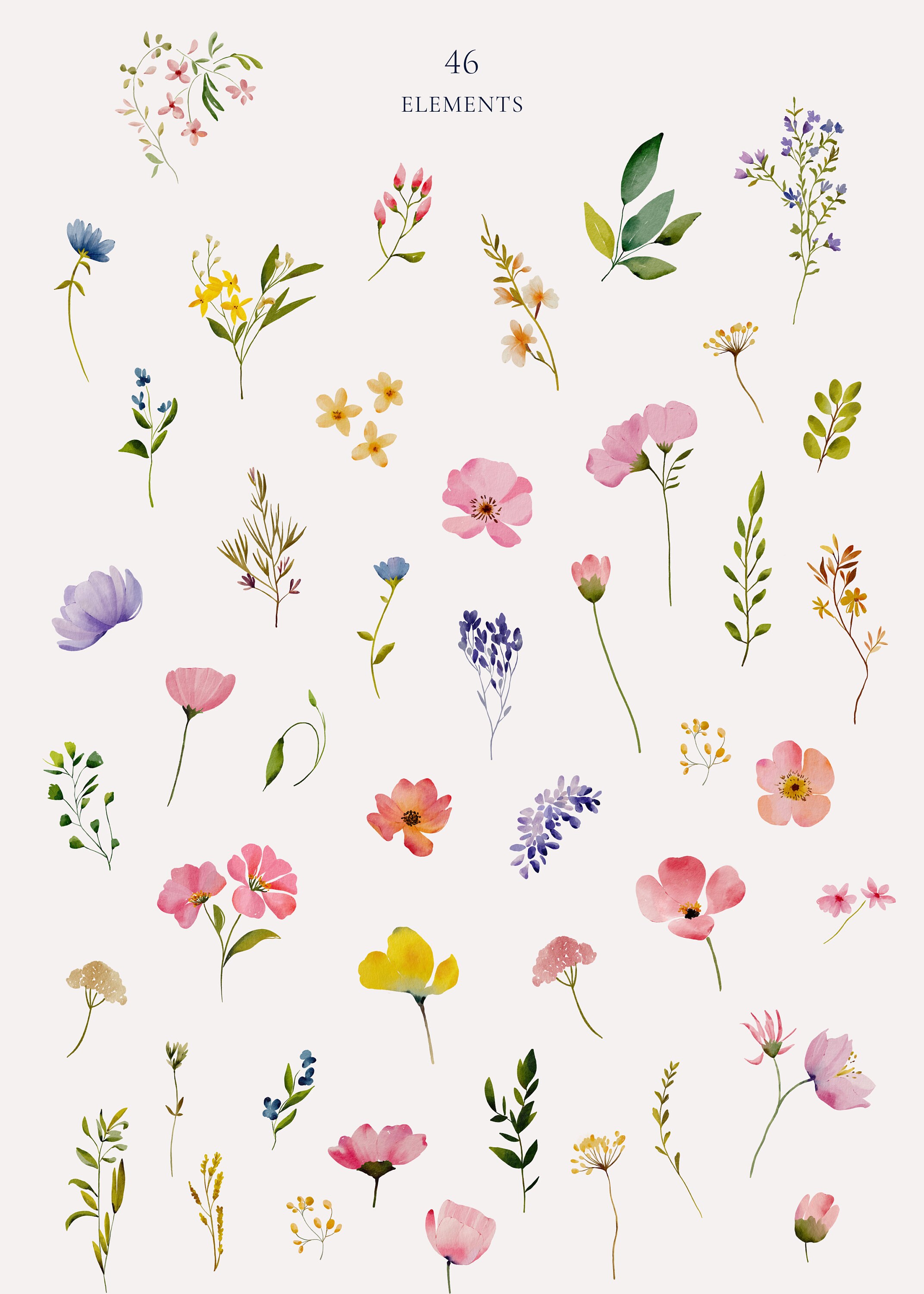 Watercolor Summer Flower Clipart, Meadow Watercolor, Boho Wildflowers ...