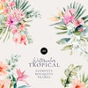 Hawaiian Hibiscus Clipart Set, Watercolor Floral Illustrations, Instant ...