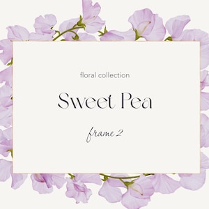 Sweet Pea Square Frame Png, Spring Floral Frame Clipart, Watercolor ...
