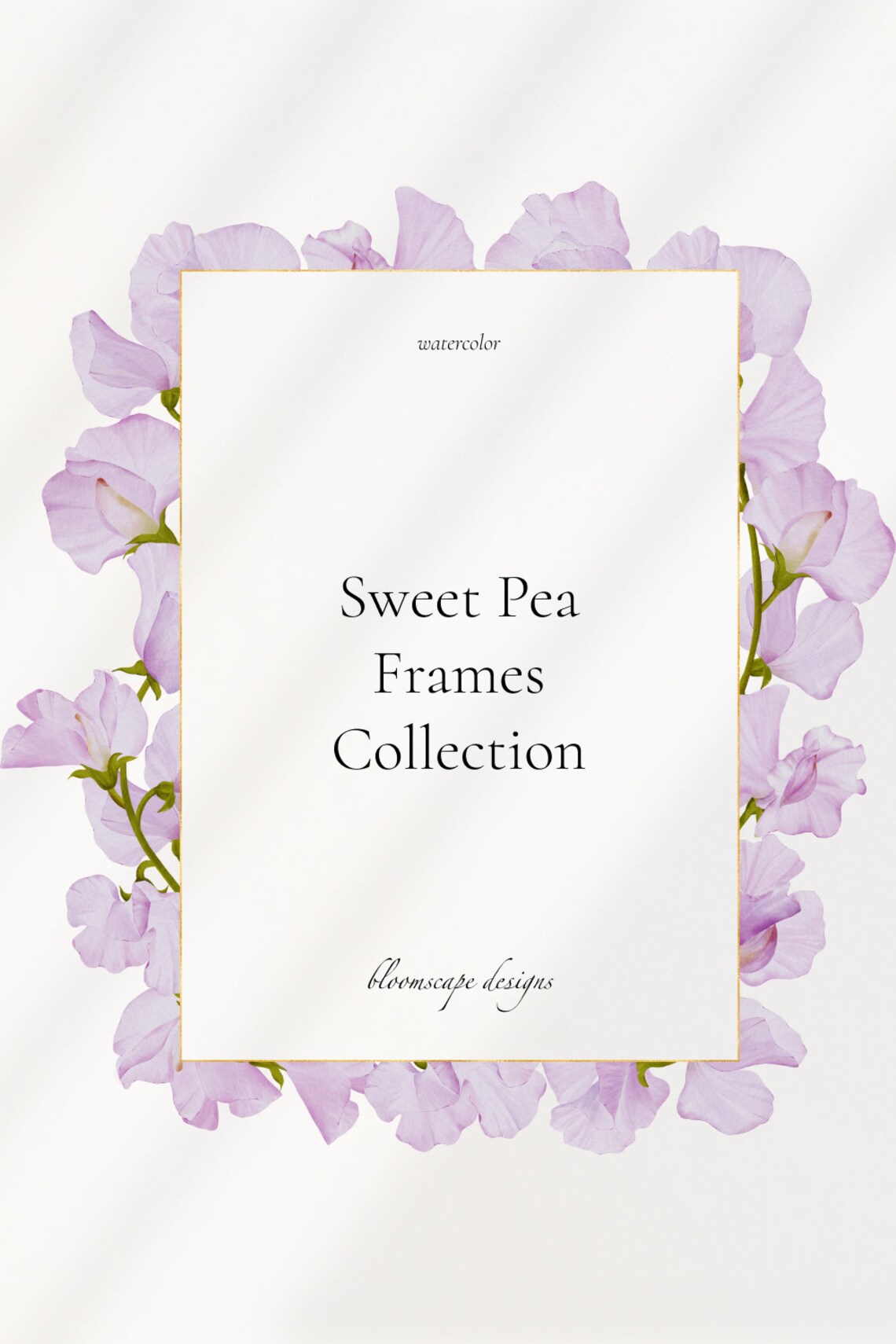 Sweet Pea Square Frame Png, Spring Floral Frame Clipart, Watercolor ...
