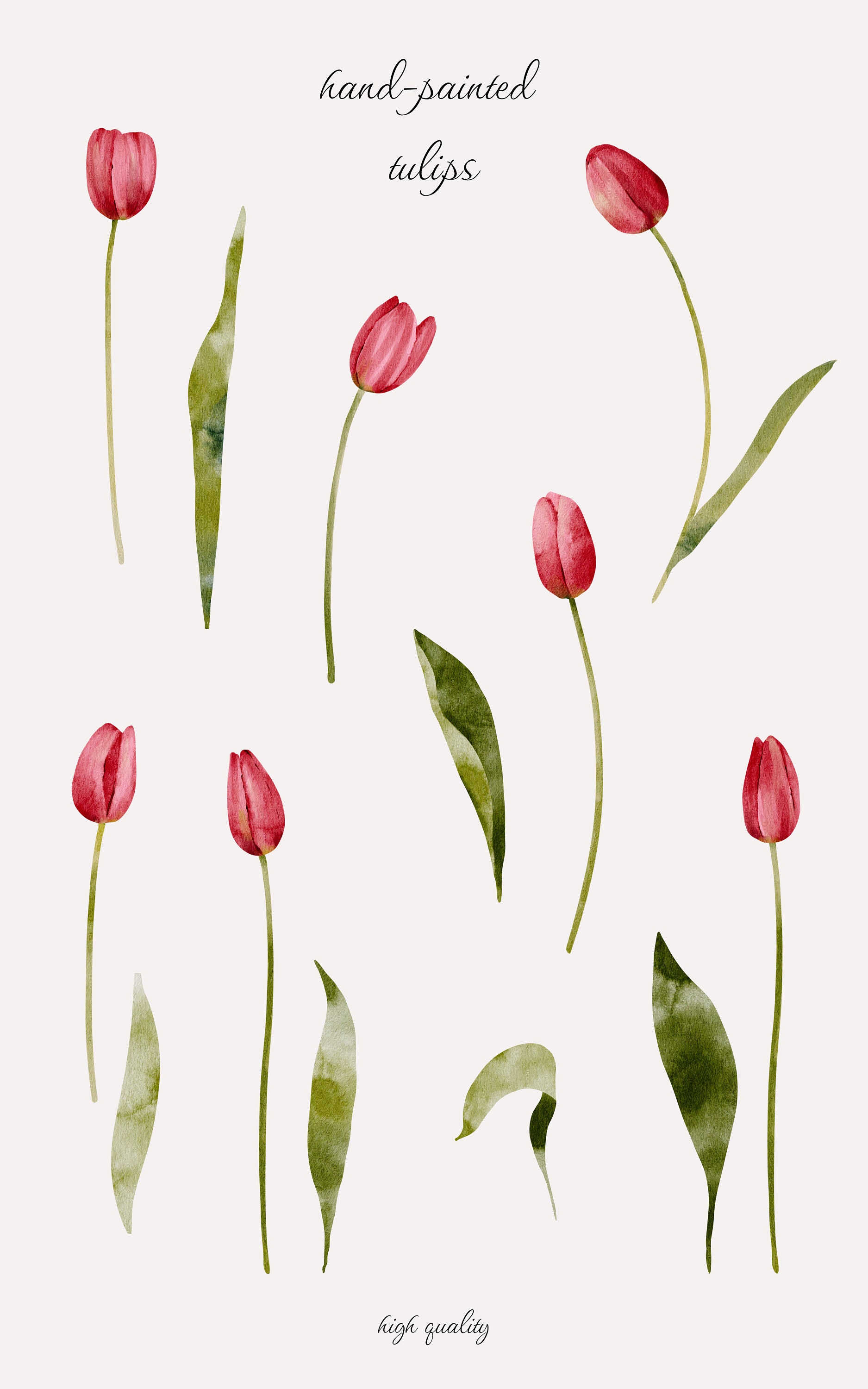 Watercolor Red Tulip Clipart Bundle, Spring Floral Clipart, Tulip ...