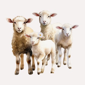 Watercolor Lamb Clipart, Sheep Spring Clipart Png, Clipart Bundle, Baby ...