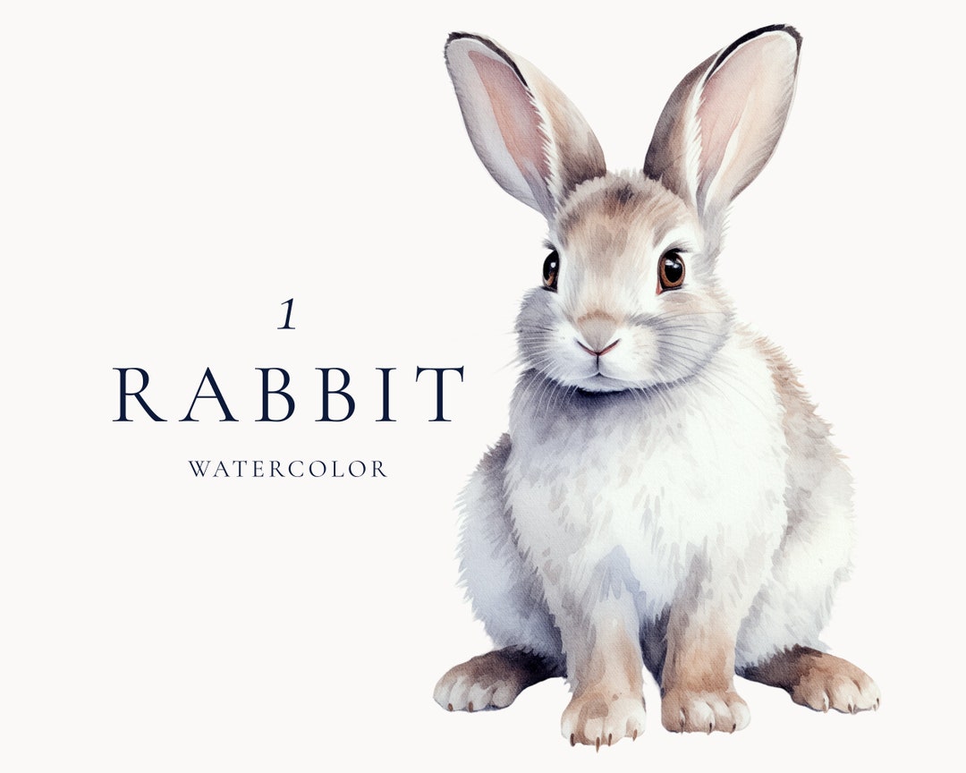 Watercolor Rabbit Clipart, Easter Rabbit Png, White Rabbit Art Print ...