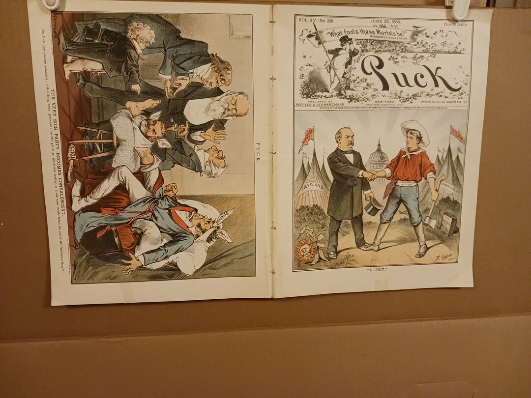 Puck Magazine -A VERY SICK PARTY- June 25, 1884 - Etsy