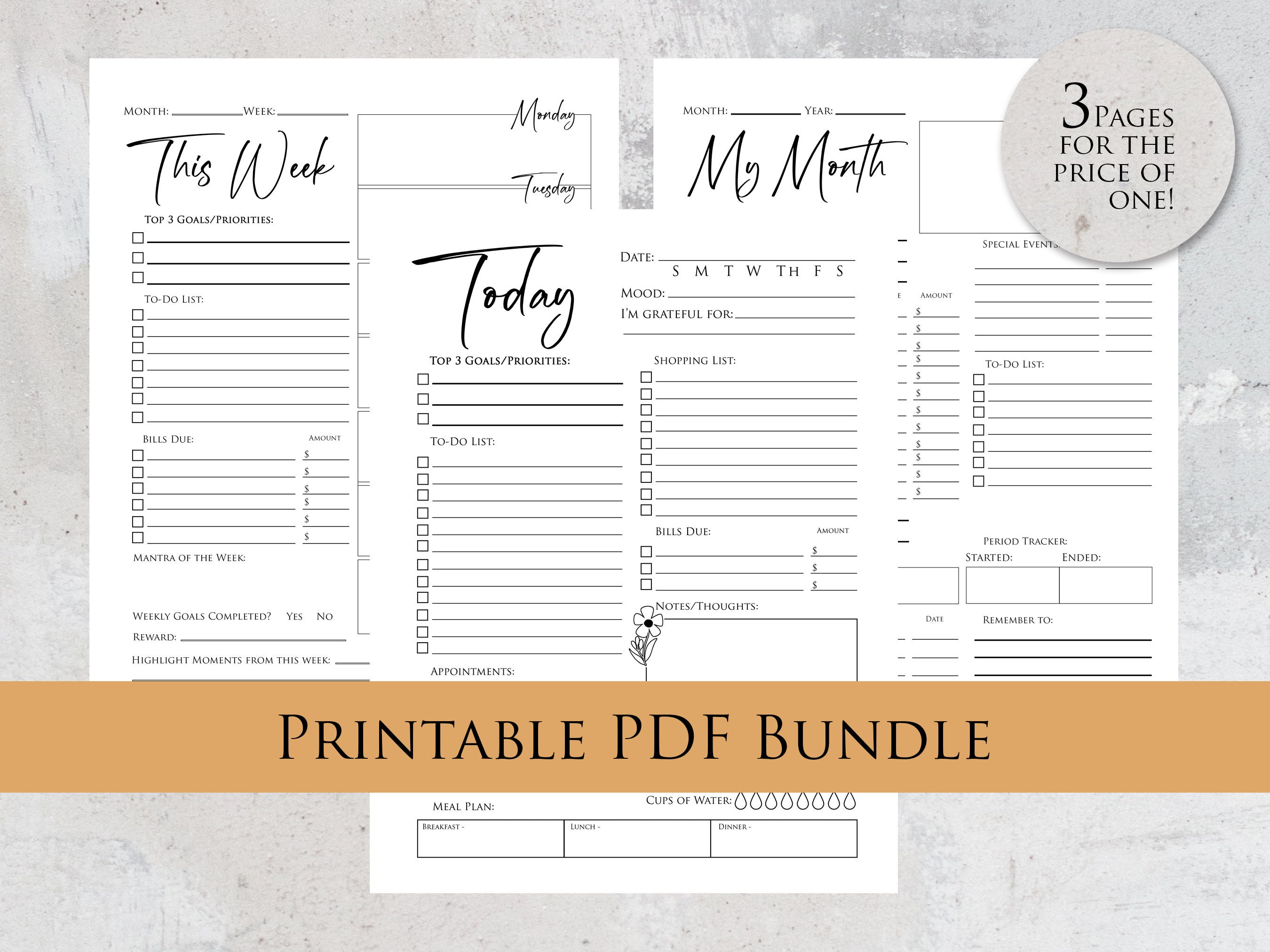 Organized Daily Life Planner Printable Bundle Includes Daily - Etsy