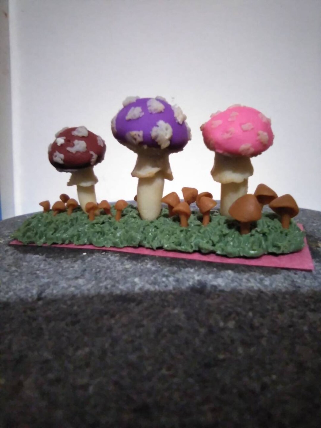 Mystery Mushrooms 10 Pack - Etsy