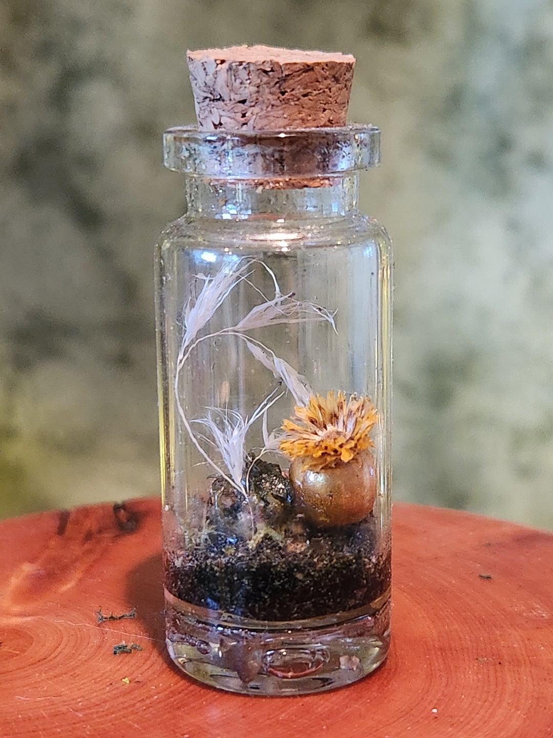 Charm Bottle Sphere Pocket World - Etsy