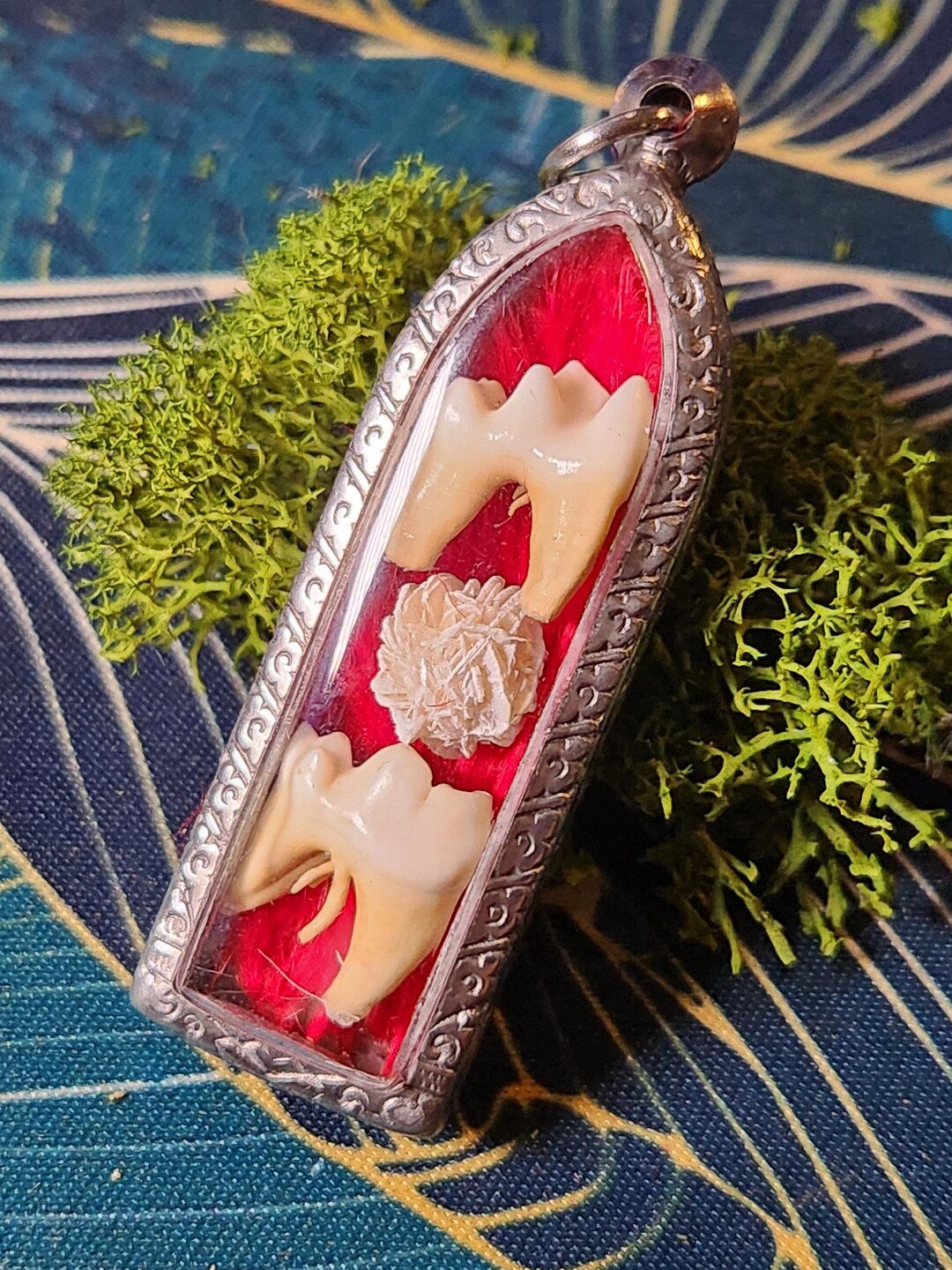 Gothic Terrarium Coffin Badger Teeth Long Glass Necklace Pendant Mini ...