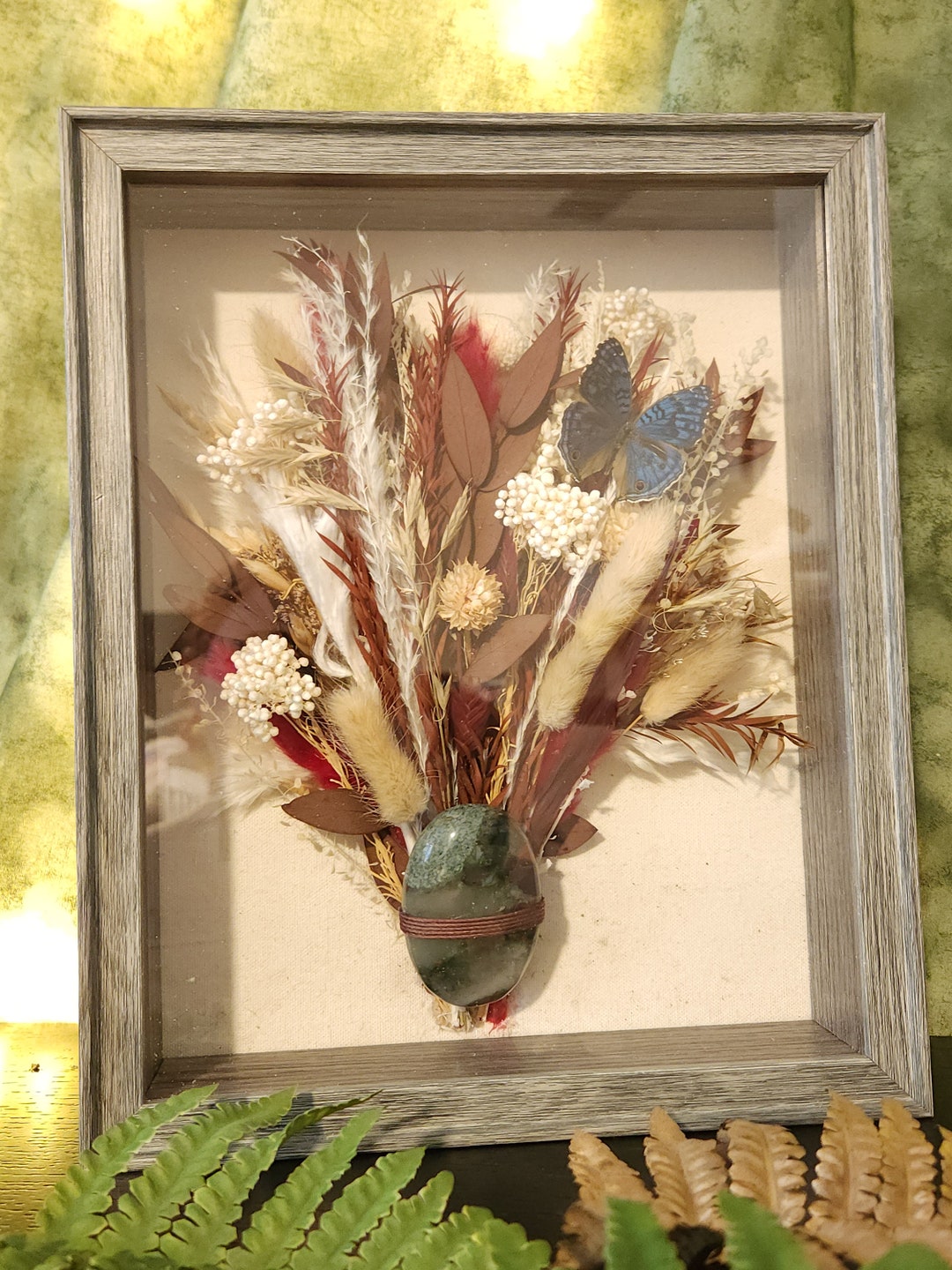 Precis Rhadama Butterfly Taxidermy Wall Display With African Bloodstone ...