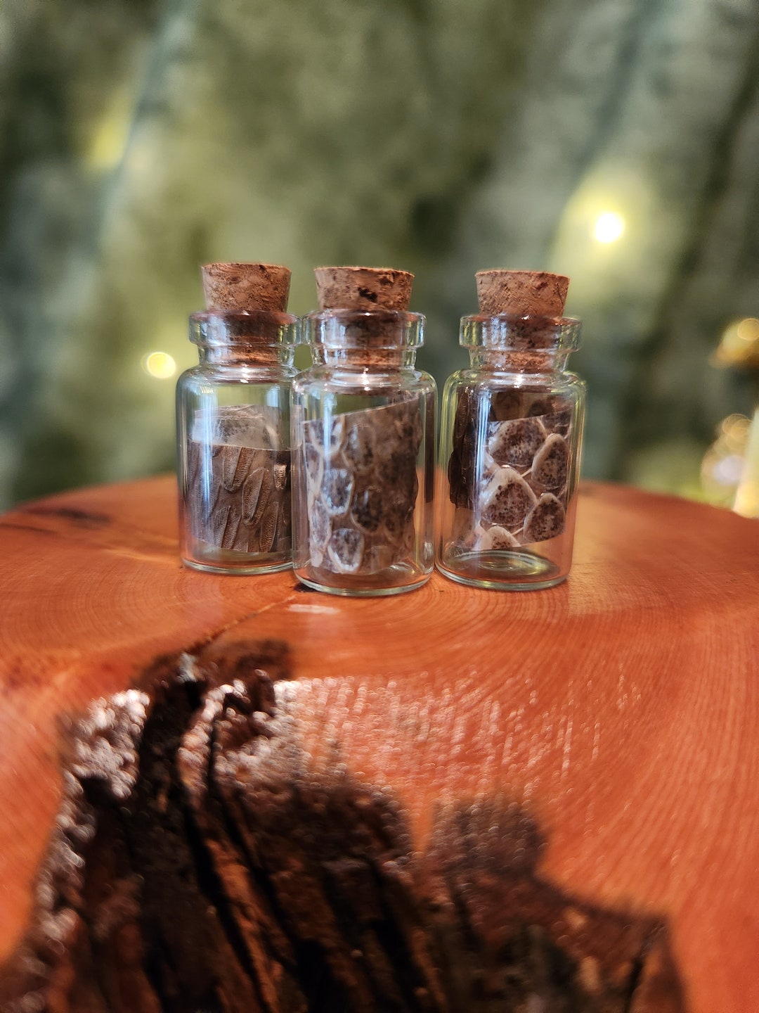 Random Rattlesnake Skin Bottle - Etsy