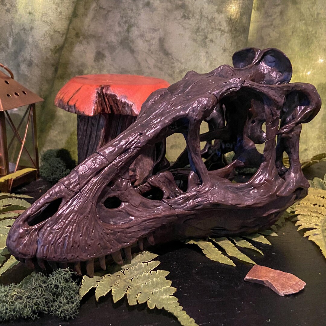 Infant T-rex Fossil Skull Model 3D Printed - Etsy