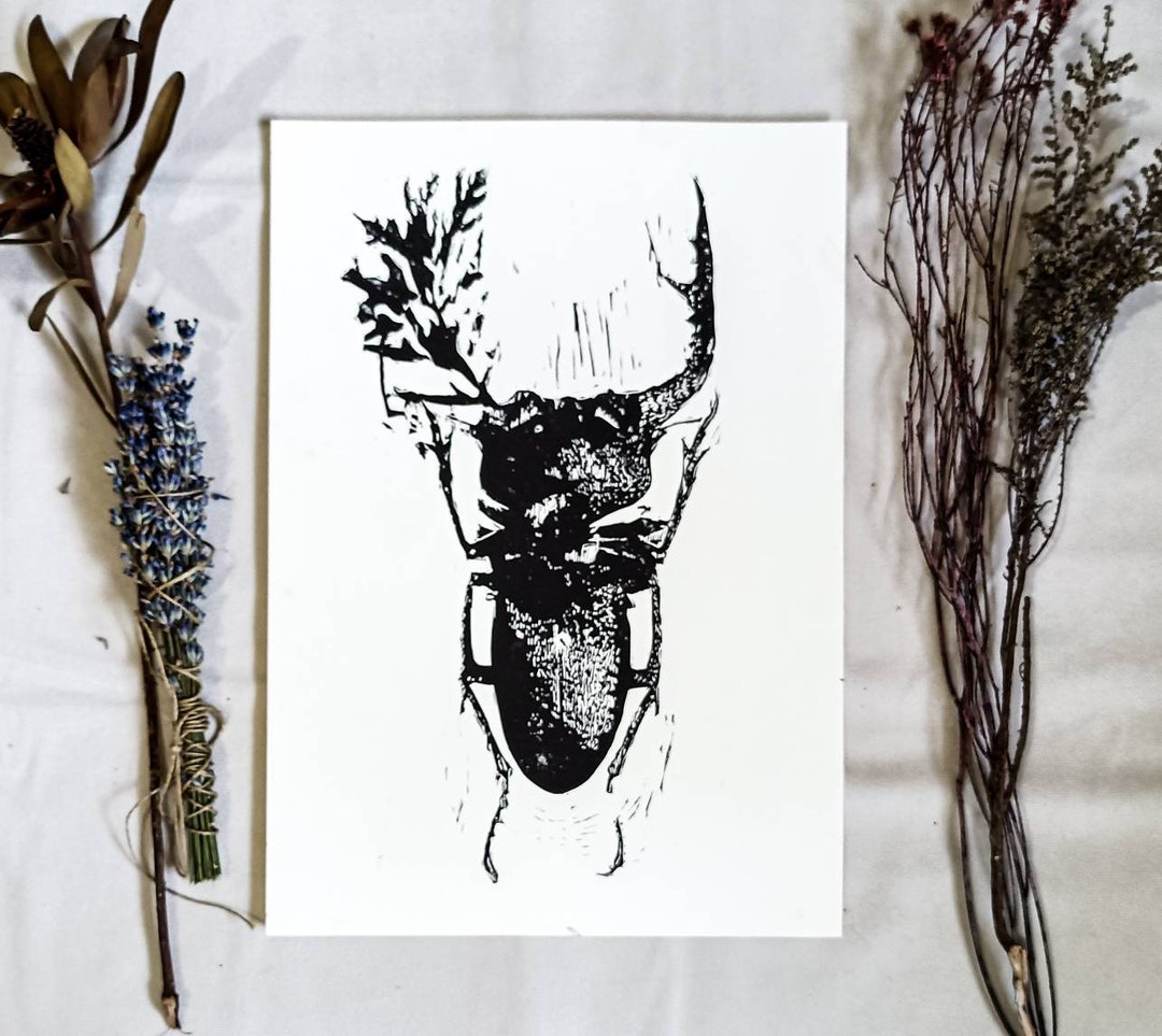 Modern Minimal Insect/beetle/bug Art Hand-pressed Linocut Print ...