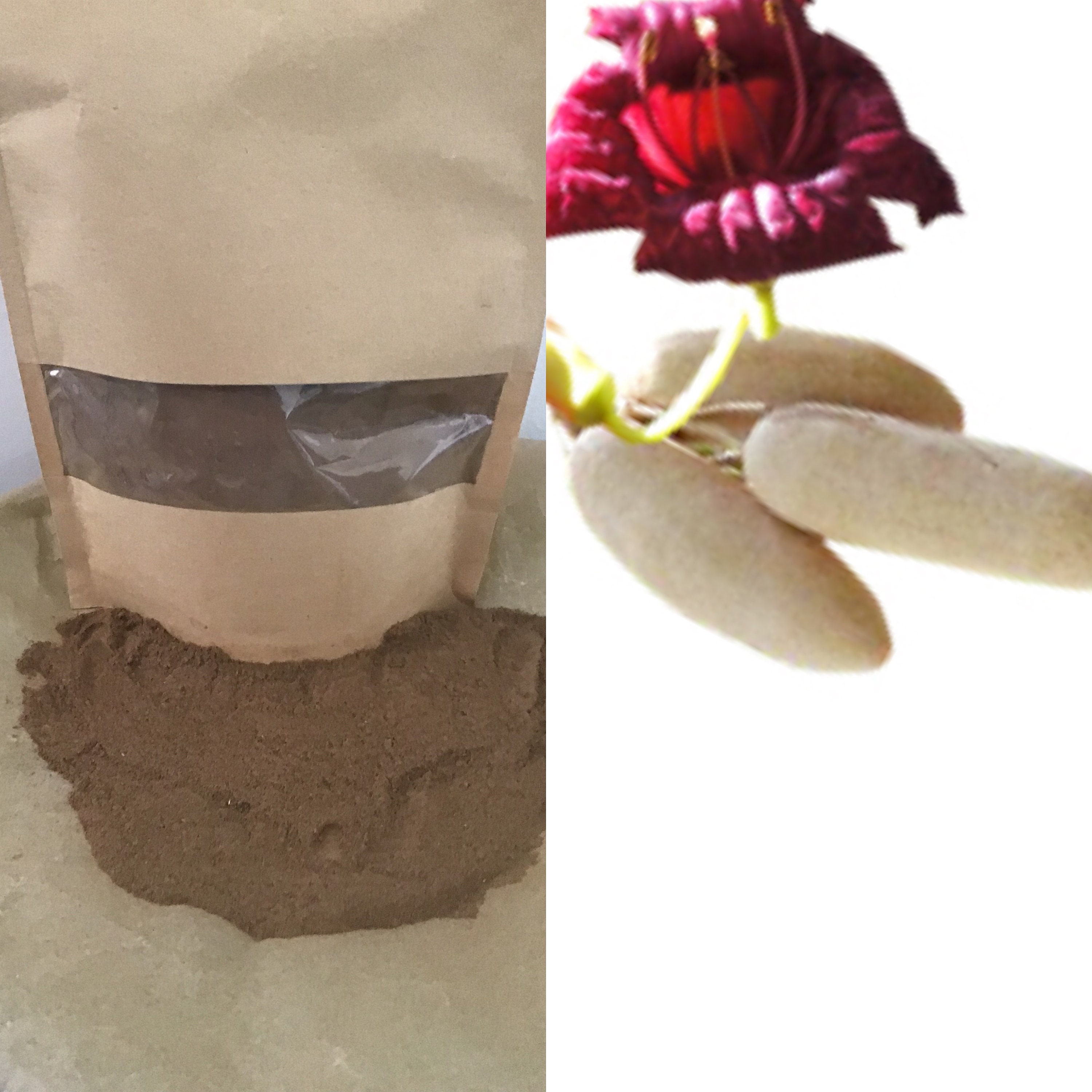 Bazooka kigili0 sausage tree africana express powder for | Etsy