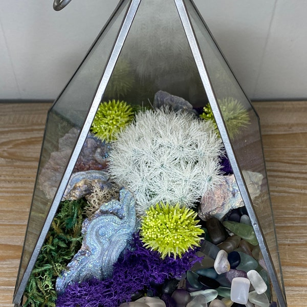Crystal Garden Terrarium - Etsy