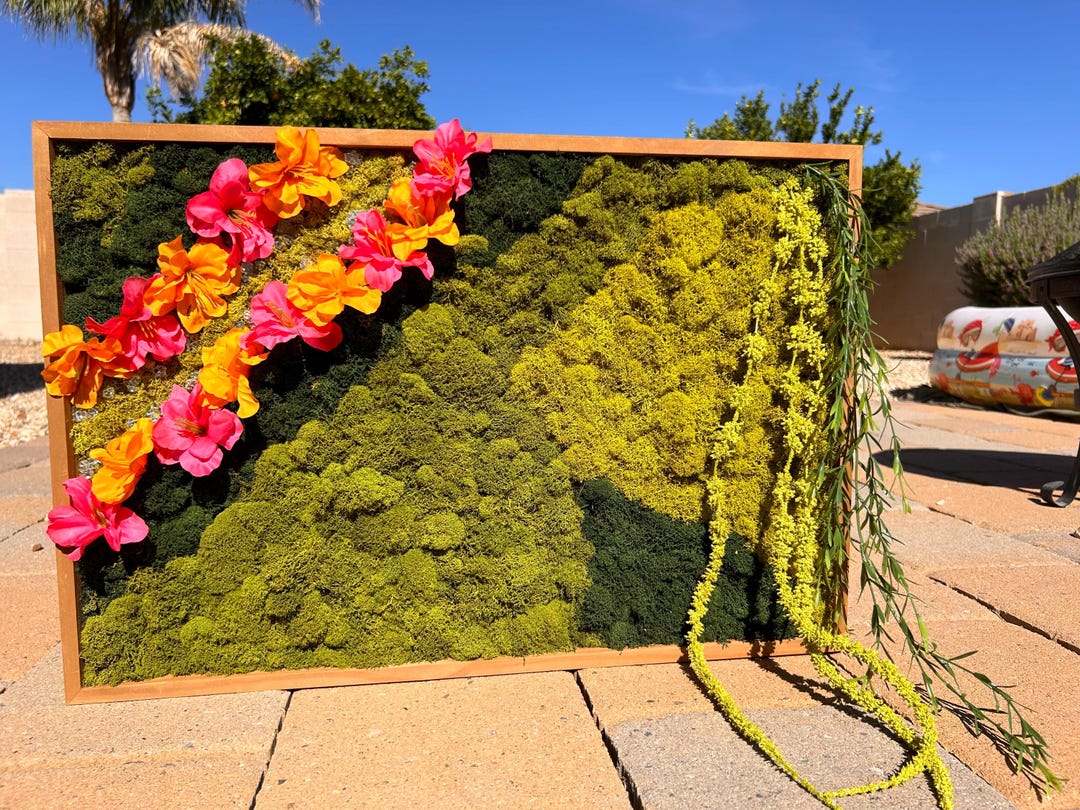 Moss Board Wall Decor - Etsy