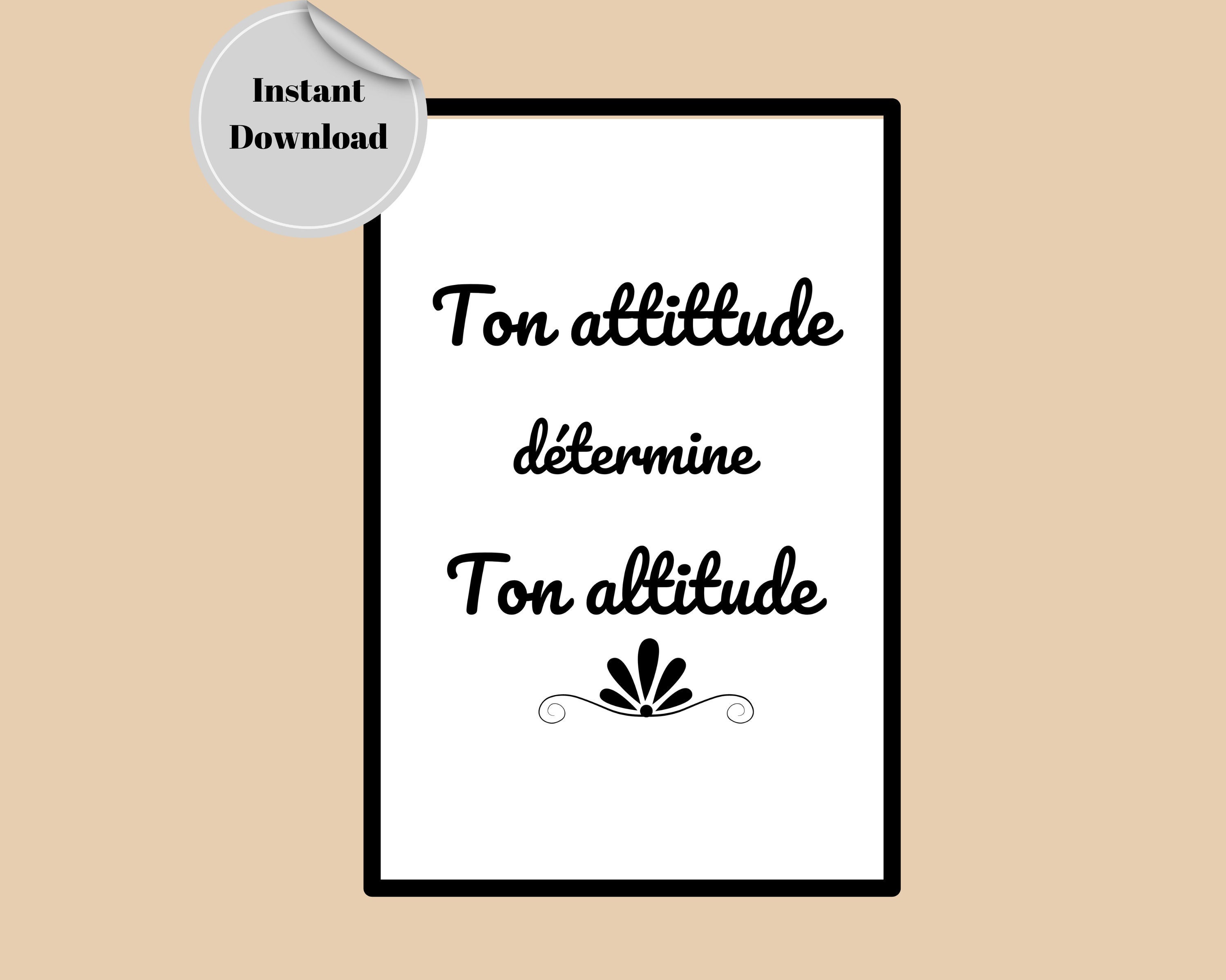 French Motivational Quote Ton Attitude Determine Ton Altitude | French ...