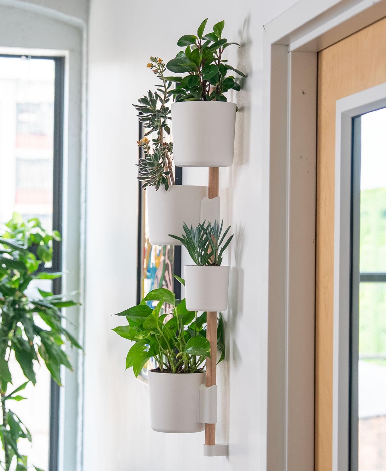 The Rail - Modular Wall Mounted Planter System | 3D Printed Pots ...