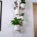 The Rail - Modular Wall Mounted Planter System | 3D Printed Pots ...