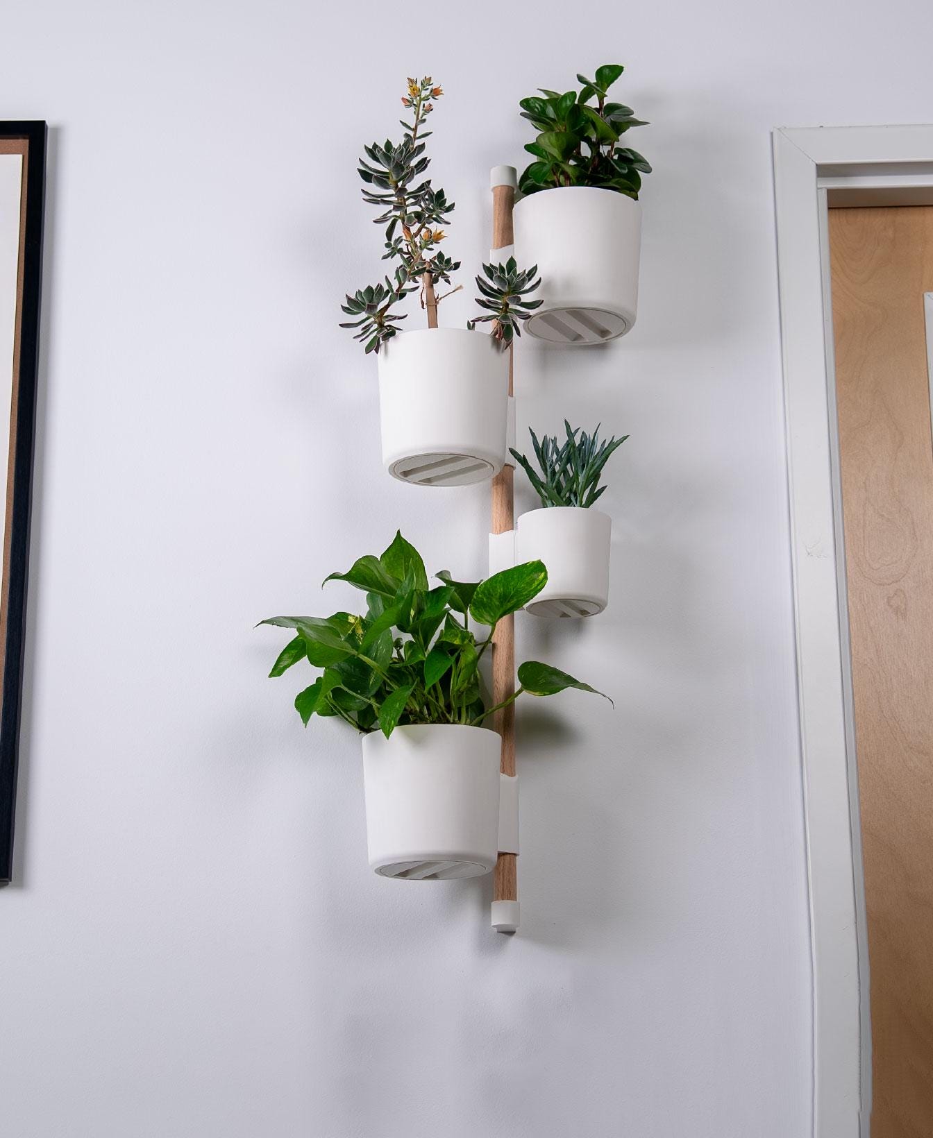 The Rail - Modular Wall Mounted Planter System | 3D Printed Pots ...
