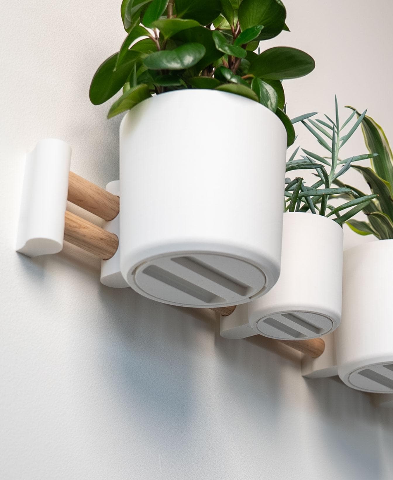The Horizontal Rail - Modular Wall Mounted Planter System | 3D Printed ...