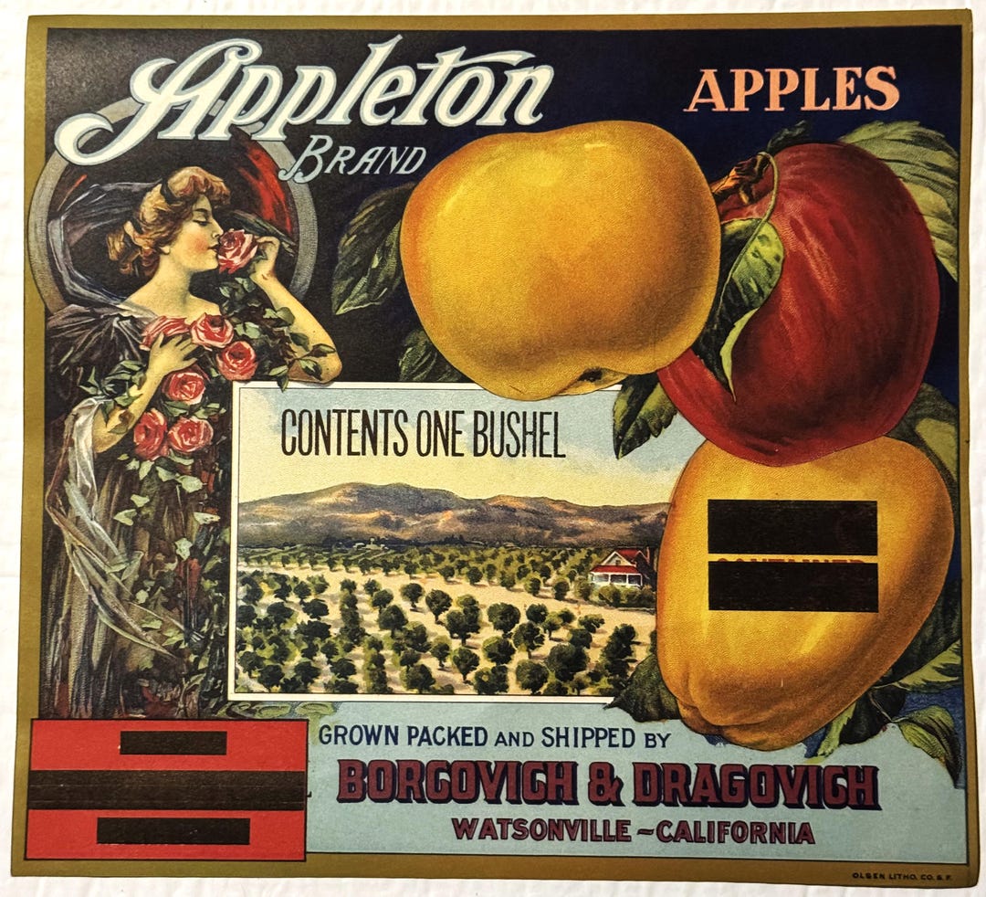 Antique 1920s Appleton Crate Label, Watsonville, CA, Stunning Americana Decor! - Etsy
