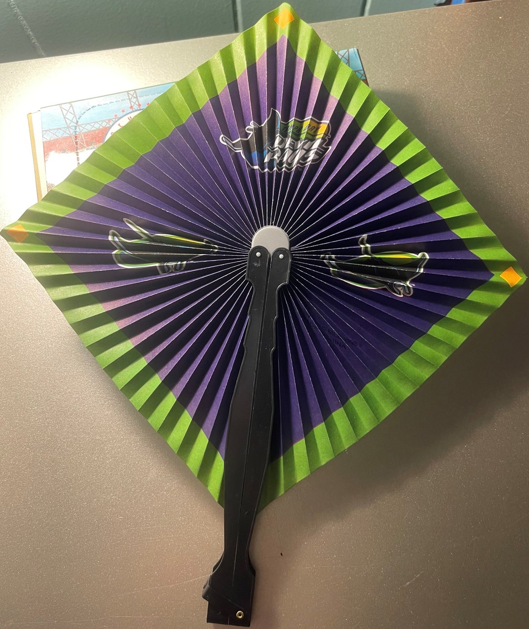 Retro Tampa Bay Devil Rays MLB Folding Hand Fan Play by Play Genuine ...