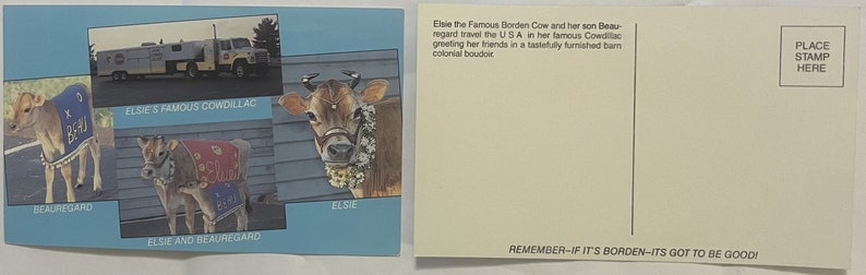 Vintage Elsie and Beauregard Borden Cow Postcard RIP to - Etsy